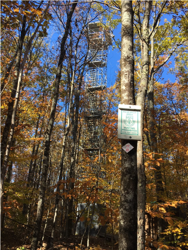 Research - Kathryn I. Wheeler